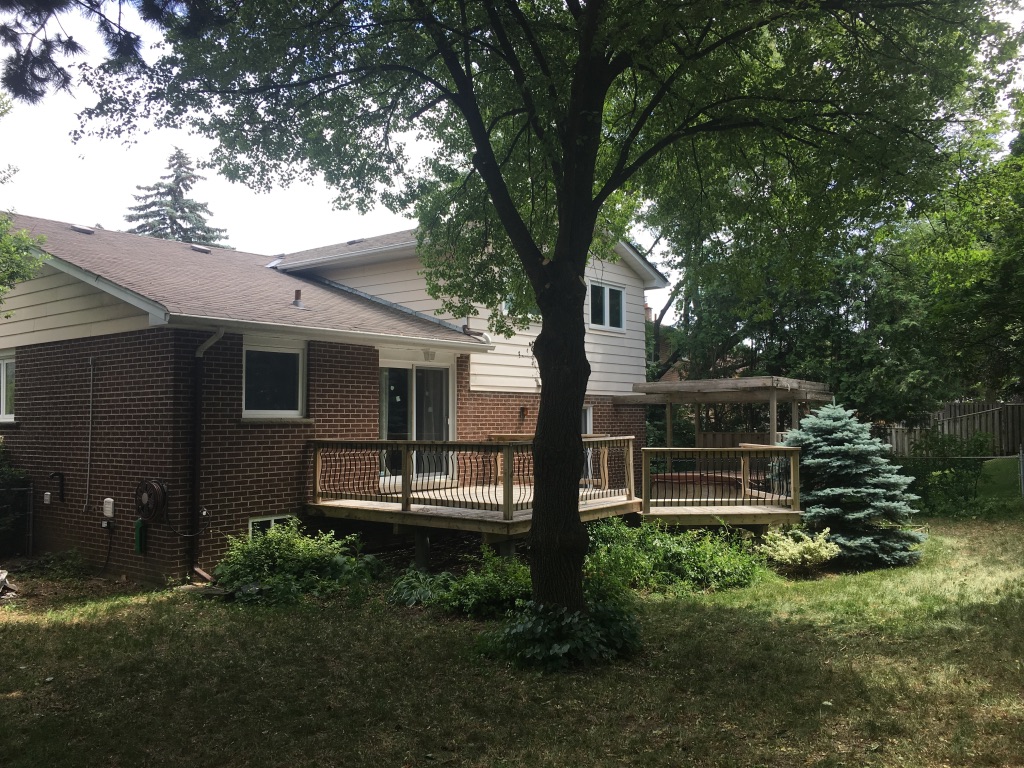 Raise Canopy (After) - Cardinal Tree Care